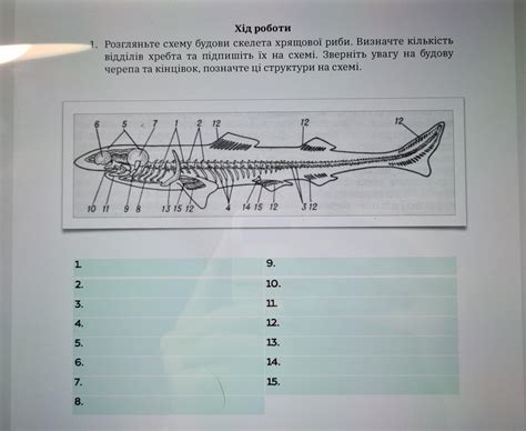 допоможіть будь ласка даю 50 балів Школьные Знания Com