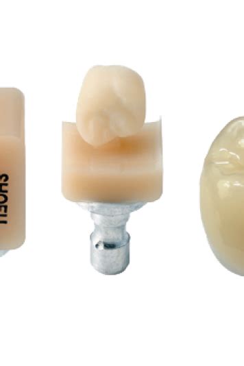 Evomed Shofu Block Hc 5 Buc