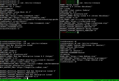 How To Check Linux Os Name Kernel Version And Information