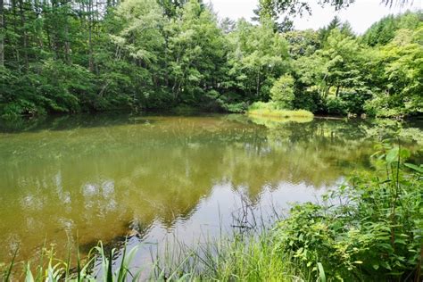 ちどり池長野県松本 水辺遍路