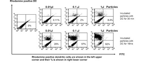 Flow Cytometry Data Of Degradable Polymer Microparticles Mean Size Of Download Scientific