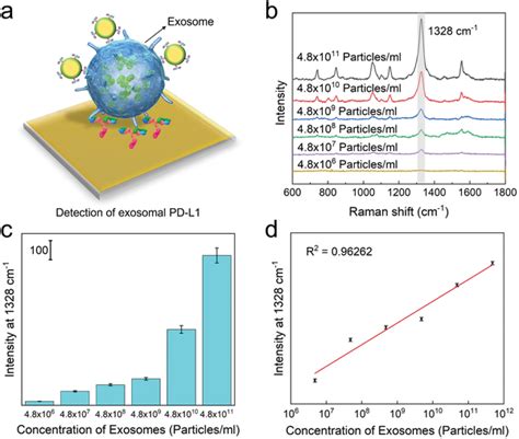 Sers Detection Of Exosomal Pd‐l1 With Different Concentrations A
