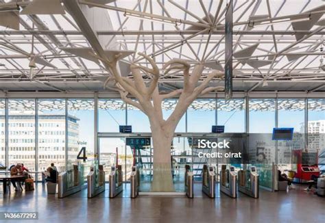 프랑스 낭트에 있는 Sncf 기차역의 중앙 홀에 있는 나무 모양의 기둥과 개찰구 낭트에 대한 스톡 사진 및 기타 이미지 낭트 역 프랑스 Istock