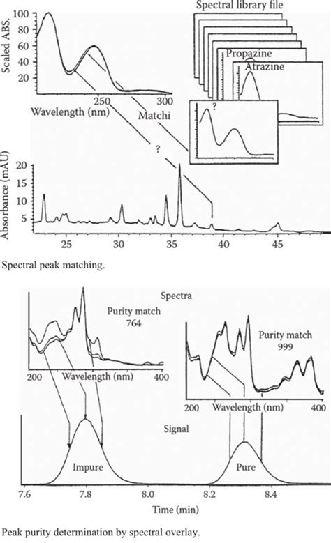 Identifying The Ubiquitous Phthalate Esters In The Environment Using