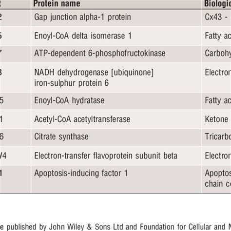 Western Blot Analysis Of Protein Co Immunoprecipitation And