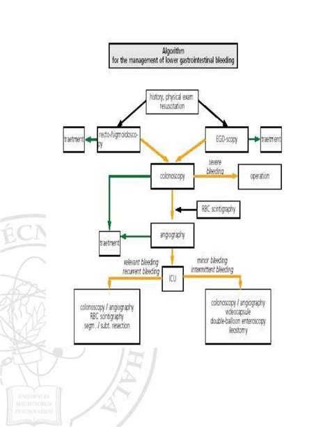 Digestive Hemorrhage Algorithm Pdf