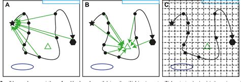 Figure 1 From Origin And Role Of Path Integration In The Cognitive