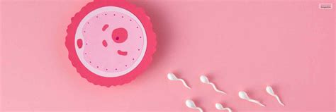 Can You Ovulate Twice In A Month All Questions Answered