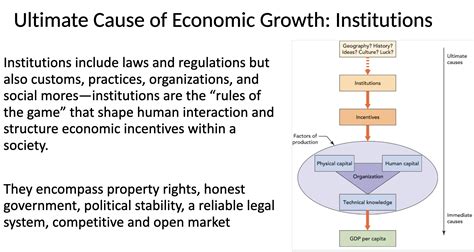 Solved 3explain In Your Own Words The Causal Chain Of