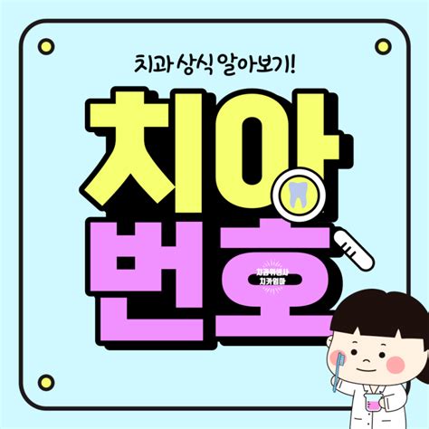 치아번호 이해하기 치과에서 사용하는 숫자의 의미 영구치 유치 명칭 이름 위치 네이버 블로그