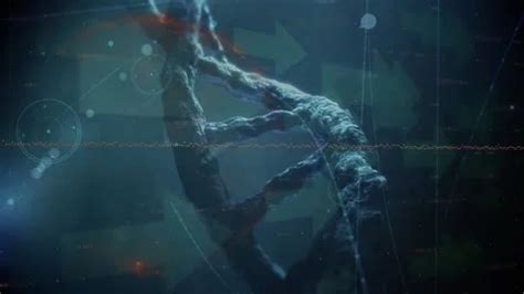 Digital Animation Of Dna Structure Spinn Stock Video Pond