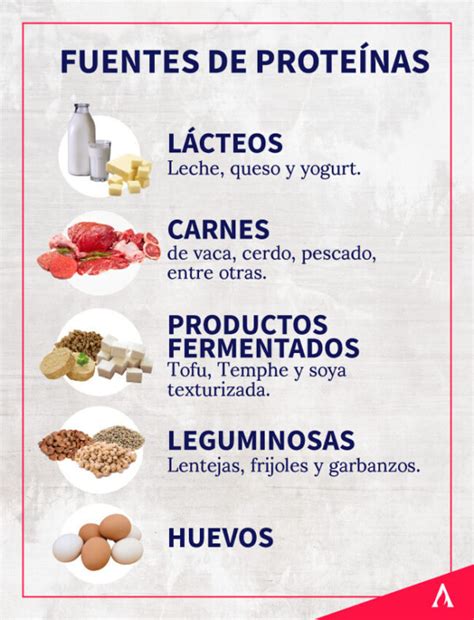 Clasificación De Las Proteínas Aprende Institute