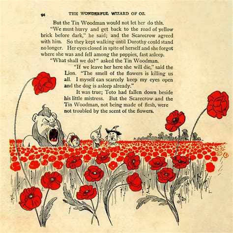 The Wonderful Wizard Of Oz Chapter Viii The Deadly Poppy Field Illustration By William