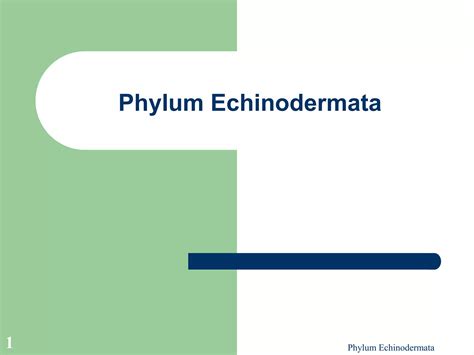 Phylum Echinodermata1ppt