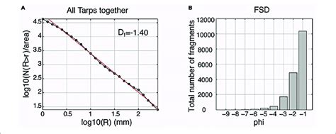 A Fragment Distributions And B Total Fragment Size Distribution Download Scientific