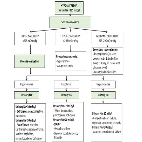 Etiological Diagnosis Algorithm Of Hyponatremia Adapted From Schrier Download Scientific