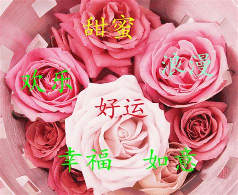 玖瑰花祝福 祝福 伤感说说吧