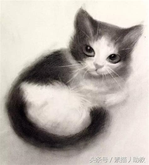 素描入門教程初識素描 每日頭條