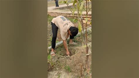 গাছ লাগাও পরিবেশ বাঁচাও 😁 Youtube