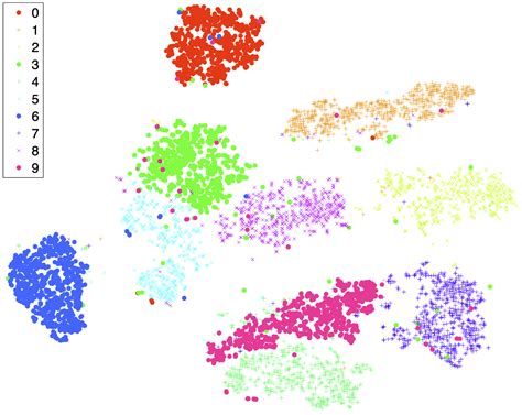 Do You Interpret Your T Sne And Umap Visualization Correctly Advancing Interpretability Of