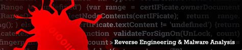 Codec Networks Provides Reverse Engineering And Malware Analysis Training In Delhi Analysis