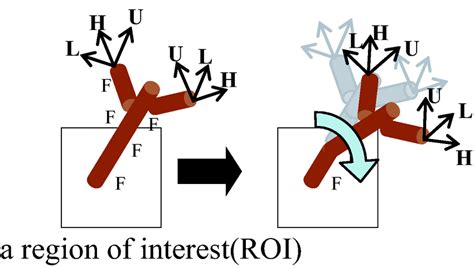Interaction Creating The Shape Of A Tree Model Download Scientific Diagram