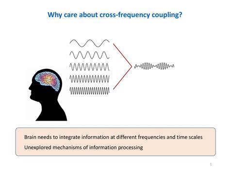 Advanced Applications Of The Glm Cross Frequency Coupling Ppt Download