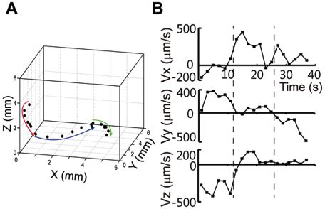 Arisaaka Elegans Worm Tracking