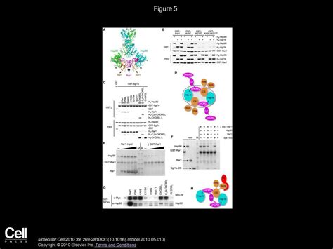Volume 39 Issue 2 Pages July 2010 Ppt Download