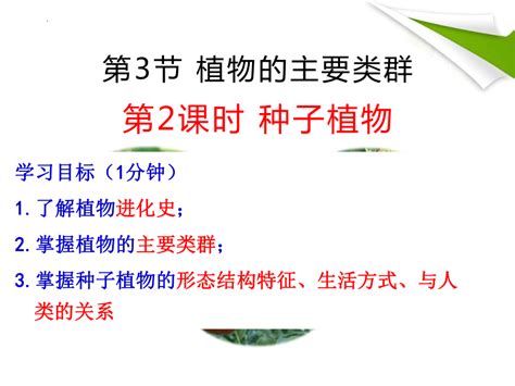 22 3植物的主要类群第二课时课件 共25张PPT 2022 2023学年北师大版生物八年级下册 21世纪教育网
