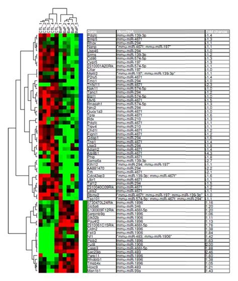 Heatmap Showing The Result Of Unsupervised Hierarchical Clustering Of