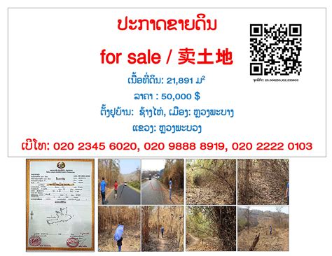 ທີ່ດິນ ແລະ ບ້ານ ພ້ອມຂາຍ Land And House For Sales