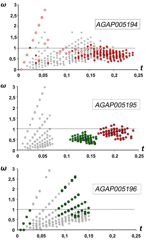Pairwise Maximum Likelihood Estimates Of ω Dnds Plotted Against Download Scientific