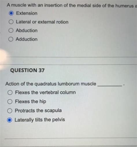 Solved Syndesmosis And Suture Articulations Are Both