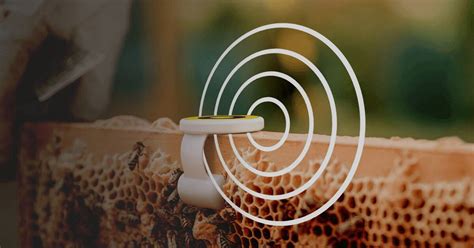 Bluetooth Sig On Linkedin Using Iot Sensor Technology To Produce Stronger Healthier Colonies And…