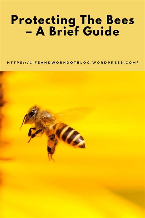 Protecting The Bees A Brief Guide
