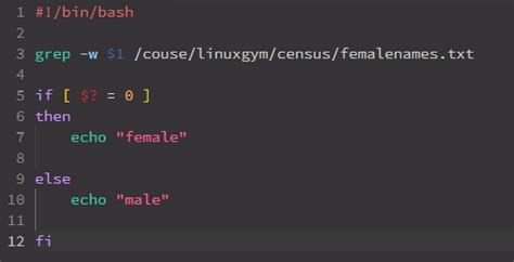 Solved Q9 Single File Word Detection Write A Bash Script