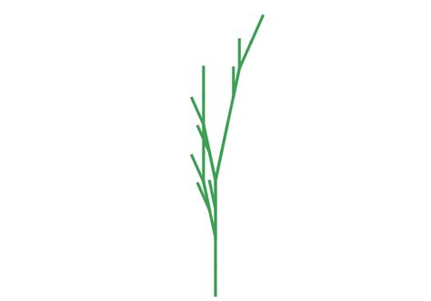 Graphicmaths L System Trees And Ferns