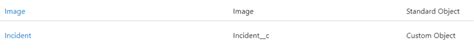 understanding salesforce standard objects vs custom objects