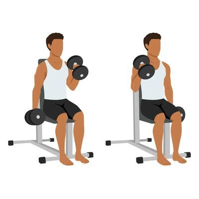 Bicep Curl Vector Art Icons And Graphics For Free Download