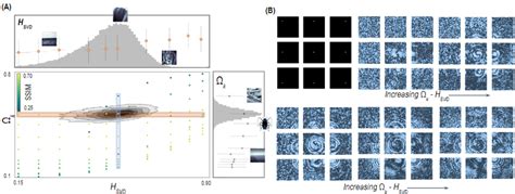 A A 2 D Histogram Of Ω K And Hsv D For The Images In The Cifar 100