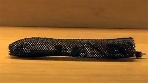 Harvard Engineers Create A 3d Printed Autonomous Robot