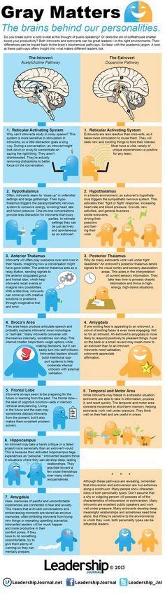 Understanding The Differences Between Introverts And Extroverts