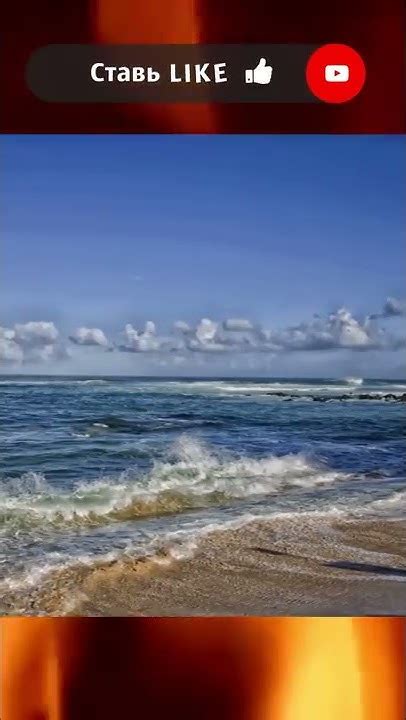 Почему на пляжах Америки со стороны Тихого океана почти никто не купается Shorts Youtube