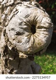 Stock Photo And Image Portfolio By Rhoebabes Shutterstock