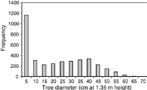 The Size Frequency Of Trees Was Dominated By The Smallest Diameter Download Scientific Diagram