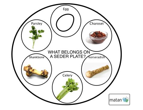 Seder Plate Drawing At Evelyn Shank Blog