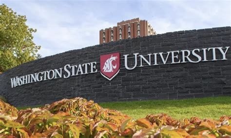 ﻿워싱턴 주립 대학교 Wsu 입학요건 학과 학비 장학금 총정리