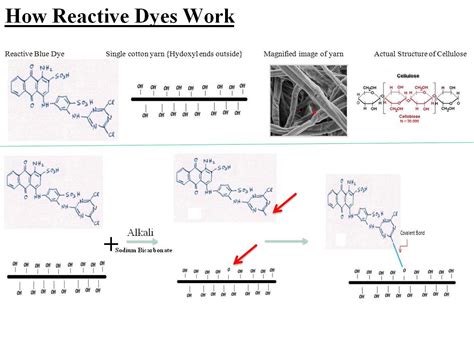 Textile Chemistry How Reactive Dye Works