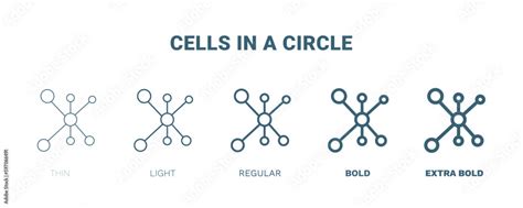 Cells In A Circle Icon Thin Light Regular Bold Black Cells In A Circle Icon Set From